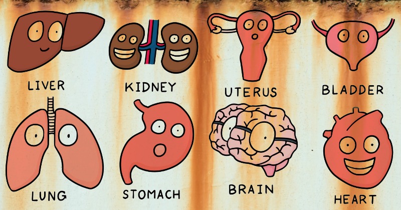 18 Signs of Iron Overload (and what tests you'll want to take) | Butter ...